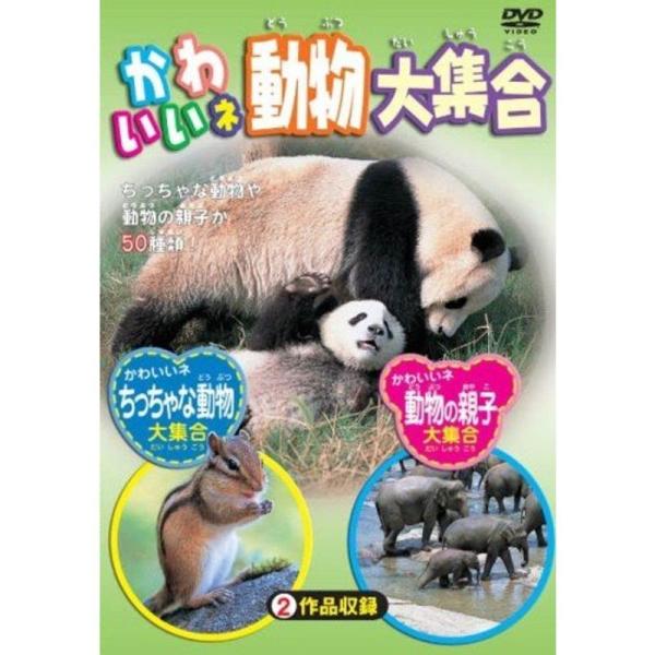 かわいいネ 動物大集合 DVD: 商品のタイトル【中古品】(中古品)＝使用済み中古品です。画像の商品はサンプル画像です。実際に届く商品と異なりますのでご了承下さいませ。※中古品のため、商品のコンディション、ケース、説明書等の付属品の有無につ...
