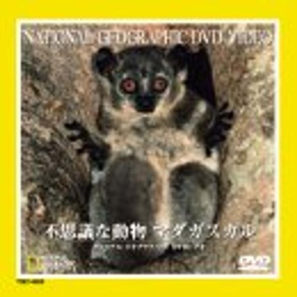 ナショナル・ジオグラフィック 不思議な動物 マダガスカル DVD: 商品のタイトル【中古品】(中古品)＝使用済み中古品です。画像の商品はサンプル画像です。実際に届く商品と異なりますのでご了承下さいませ。※中古品のため、商品のコンディション、...