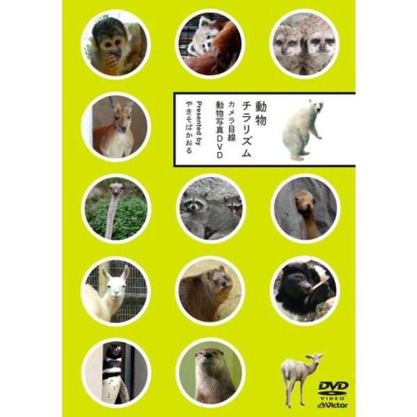 動物チラリズム -カメラ目線動物写真DVD-: 商品のタイトル【中古品】(中古品)＝使用済み中古品です。画像の商品はサンプル画像です。実際に届く商品と異なりますのでご了承下さいませ。※中古品のため、商品のコンディション、ケース、説明書等の付...