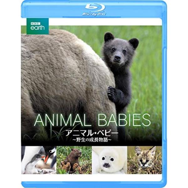BBC earth アニマル・ベビー ~野生の成長物語~ Blu-ray: 商品のタイトル【中古品】(中古品)＝使用済み中古品です。画像の商品はサンプル画像です。実際に届く商品と異なりますのでご了承下さいませ。※中古品のため、商品のコンディ...