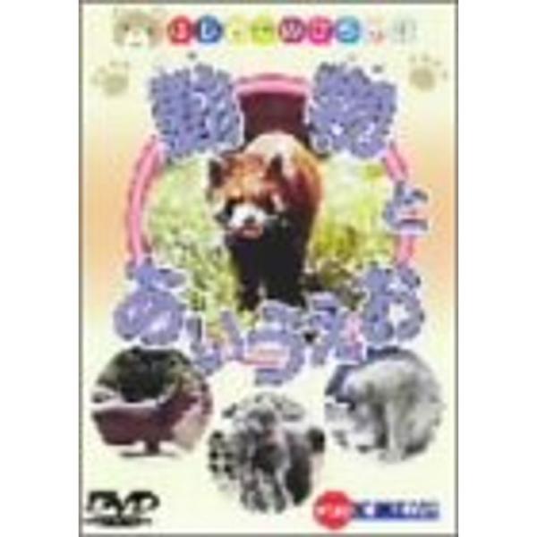 動物とあいうえお DVD: 商品のタイトル【中古品】(中古品)＝使用済み中古品です。画像の商品はサンプル画像です。実際に届く商品と異なりますのでご了承下さいませ。※中古品のため、商品のコンディション、ケース、説明書等の付属品の有無については...