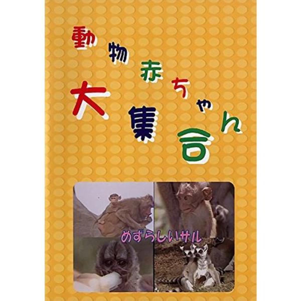 動物赤ちゃん大集合 8 めずらしいサル レンタル落ち: 商品のタイトル【中古品】(中古品)＝使用済み中古品です。画像の商品はサンプル画像です。実際に届く商品と異なりますのでご了承下さいませ。※中古品のため、商品のコンディション、ケース、説明...