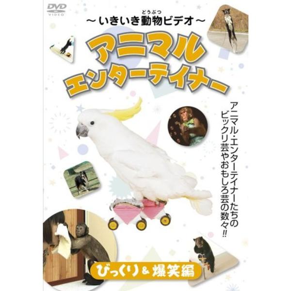 ~いきいき動物ビデオ~アニマル エンターテイナー びっくり&amp;爆笑編 DVD: 商品のタイトル【中古品】(中古品)＝使用済み中古品です。画像の商品はサンプル画像です。実際に届く商品と異なりますのでご了承下さいませ。※中古品のため、商品...