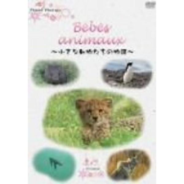 NHK DVD Bebes d’animaux-小さな動物たちの物語-: 商品のタイトル【中古品】(中古品)＝使用済み中古品です。画像の商品はサンプル画像です。実際に届く商品と異なりますのでご了承下さいませ。※中古品のため、商品のコンディシ...