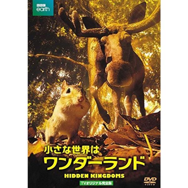 小さな世界はワンダーランド TVオリジナル完全版（2枚組） DVD: 商品のタイトル【中古品】(中古品)＝使用済み中古品です。画像の商品はサンプル画像です。実際に届く商品と異なりますのでご了承下さいませ。※中古品のため、商品のコンディション...