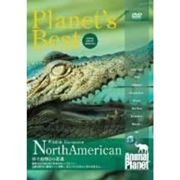 アニマルプラネット プラネッツベスト 野生動物との遭遇 DVD レンタル落ち: 商品のタイトル【中古品】(中古品)＝使用済み中古品です。画像の商品はサンプル画像です。実際に届く商品と異なりますのでご了承下さいませ。※中古品のため、商品のコン...