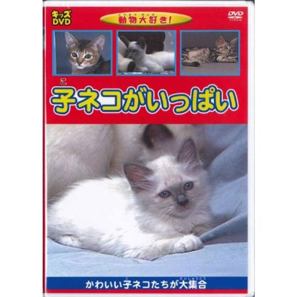 動物大好き 子ネコがいっぱい動物大好き 子ネコがいっぱい: 商品のタイトル【中古品】(中古品)＝使用済み中古品です。画像の商品はサンプル画像です。実際に届く商品と異なりますのでご了承下さいませ。※中古品のため、商品のコンディション、ケース、...