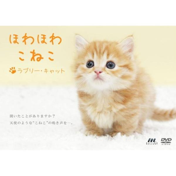 ほわほわこねこ ラブリー・キャット DVD: 商品のタイトル【中古品】(中古品)＝使用済み中古品です。画像の商品はサンプル画像です。実際に届く商品と異なりますのでご了承下さいませ。※中古品のため、商品のコンディション、ケース、説明書等の付属...