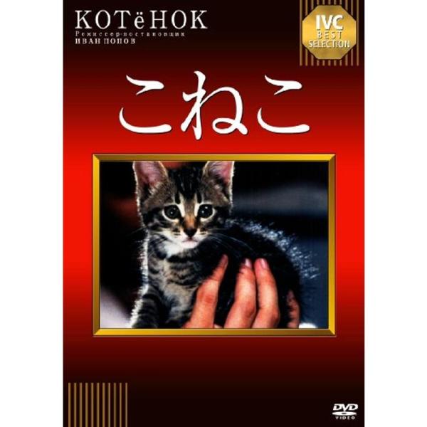 こねこ DVD: 商品のタイトル【中古品】(中古品)＝使用済み中古品です。画像の商品はサンプル画像です。実際に届く商品と異なりますのでご了承下さいませ。※中古品のため、商品のコンディション、ケース、説明書等の付属品の有無については入荷の度に...