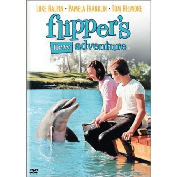 頑張れフリッパー DVD: 商品のタイトル【中古品】(中古品)＝使用済み中古品です。画像の商品はサンプル画像です。実際に届く商品と異なりますのでご了承下さいませ。※中古品のため、商品のコンディション、ケース、説明書等の付属品の有無については...
