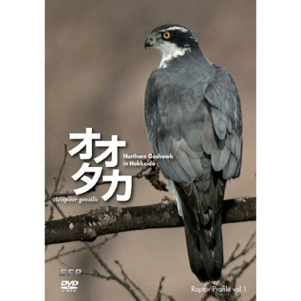 Raptor Profile vol.1 オオタカ Northern Goshawk in Hokkaido DVD: 商品のタイトル【中古品】(中古品)＝使用済み中古品です。画像の商品はサンプル画像です。実際に届く商品と異なりますのでご了...
