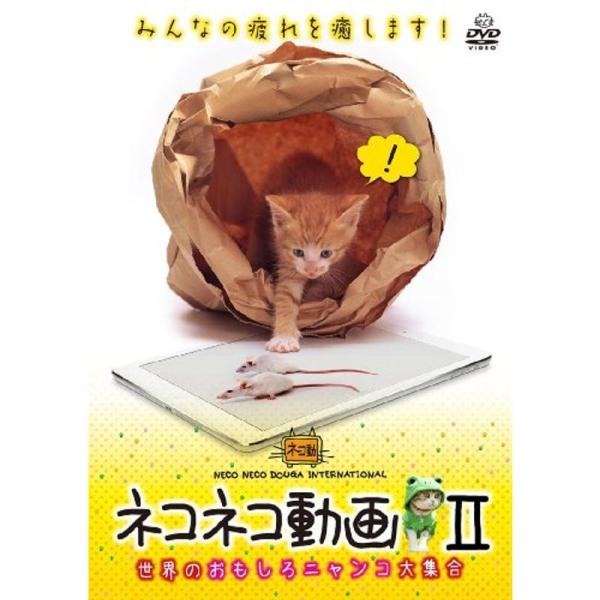 ネコネコ動画II~世界のおもしろニャンコ大集合~ DVD: 商品のタイトル【中古品】(中古品)＝使用済み中古品です。画像の商品はサンプル画像です。実際に届く商品と異なりますのでご了承下さいませ。※中古品のため、商品のコンディション、ケース、...