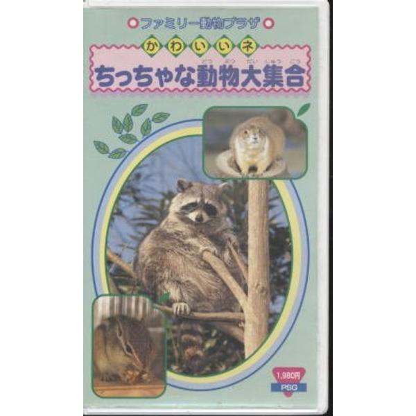 ちっちゃな動物大集合 VHS: 商品のタイトル【中古品】(中古品)＝使用済み中古品です。画像の商品はサンプル画像です。実際に届く商品と異なりますのでご了承下さいませ。※中古品のため、商品のコンディション、ケース、説明書等の付属品の有無につい...