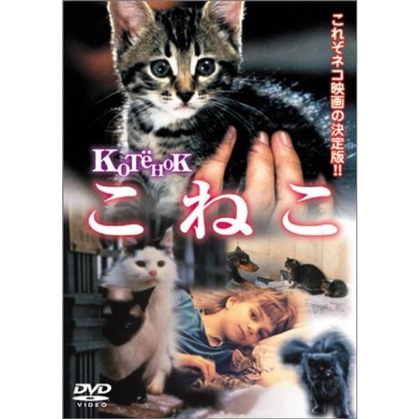 こねこ DVD: 商品のタイトル【中古品】(中古品)＝使用済み中古品です。画像の商品はサンプル画像です。実際に届く商品と異なりますのでご了承下さいませ。※中古品のため、商品のコンディション、ケース、説明書等の付属品の有無については入荷の度に...