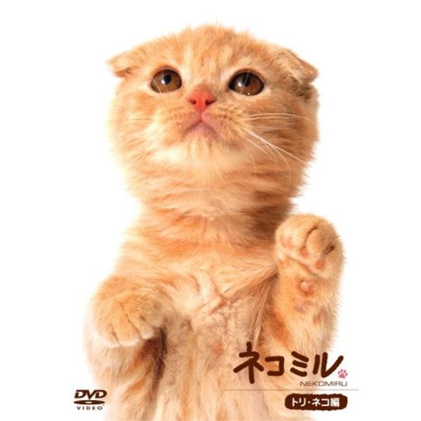 ネコミル トリ・ネコ編 DVD: 商品のタイトル【中古品】(中古品)＝使用済み中古品です。画像の商品はサンプル画像です。実際に届く商品と異なりますのでご了承下さいませ。※中古品のため、商品のコンディション、ケース、説明書等の付属品の有無につ...