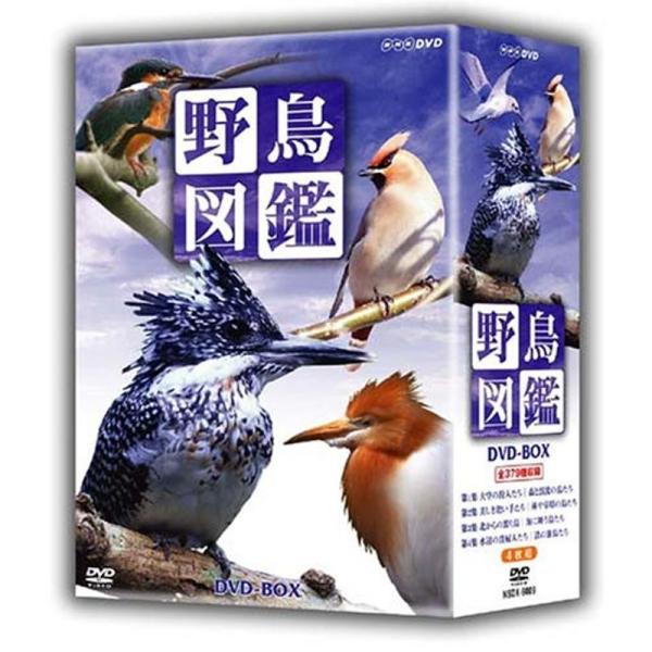 野鳥図鑑 DVD-BOX: 商品のタイトル【中古品】(中古品)＝使用済み中古品です。画像の商品はサンプル画像です。実際に届く商品と異なりますのでご了承下さいませ。※中古品のため、商品のコンディション、ケース、説明書等の付属品の有無については...