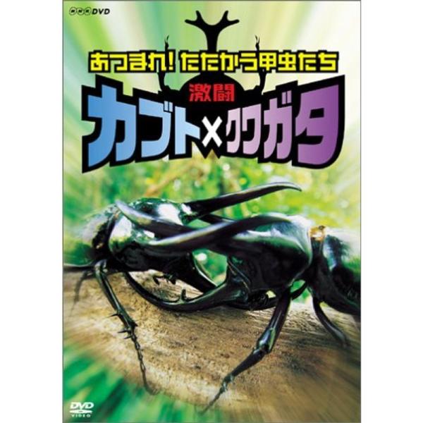 激闘 カブト×クワガタ ~あつまれたたかう甲虫たち~ DVD: 商品のタイトル【中古品】(中古品)＝使用済み中古品です。画像の商品はサンプル画像です。実際に届く商品と異なりますのでご了承下さいませ。※中古品のため、商品のコンディション、ケー...