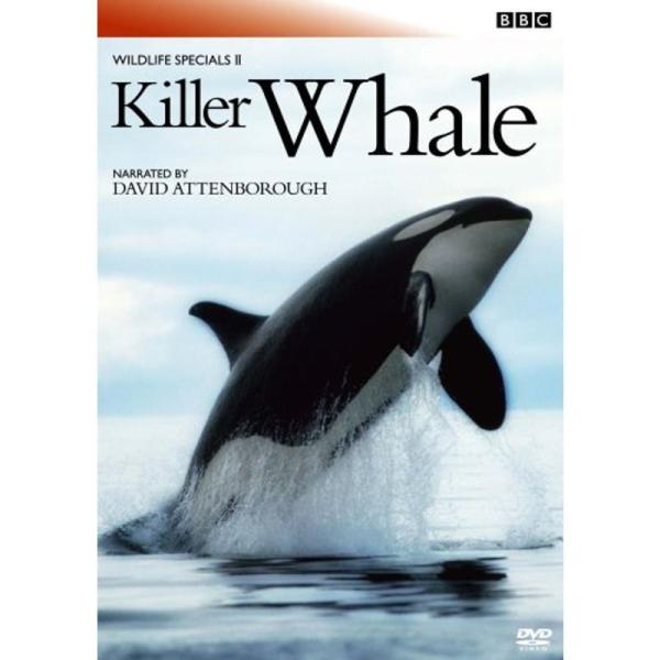 BBC ワイルドライフ・スペシャルII シャチ DVD: 商品のタイトル【中古品】(中古品)＝使用済み中古品です。画像の商品はサンプル画像です。実際に届く商品と異なりますのでご了承下さいませ。※中古品のため、商品のコンディション、ケース、説...