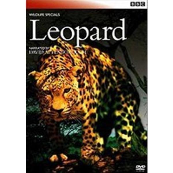 BBCワイルドライフ・スペシャル ヒョウ 闇からの使者 DVD: 商品のタイトル【中古品】(中古品)＝使用済み中古品です。画像の商品はサンプル画像です。実際に届く商品と異なりますのでご了承下さいませ。※中古品のため、商品のコンディション、ケ...