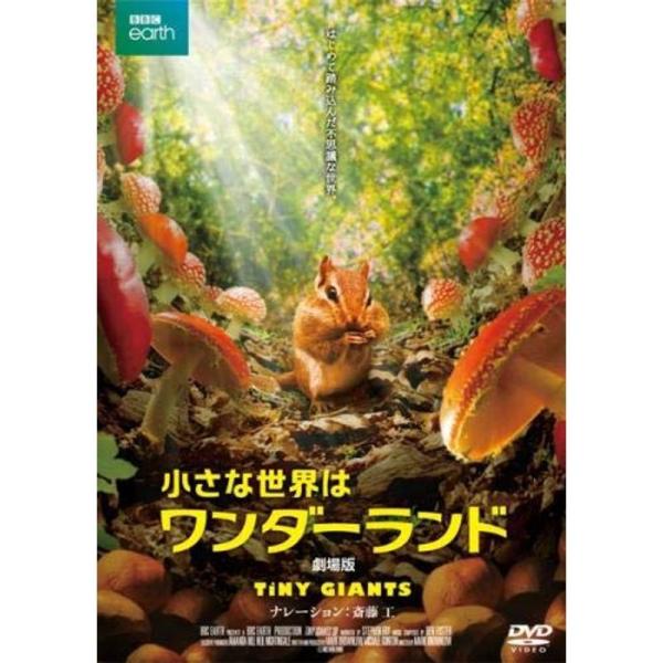 小さな世界はワンダーランド 劇場版 レンタル落ち: 商品のタイトル【中古品】(中古品)＝使用済み中古品です。画像の商品はサンプル画像です。実際に届く商品と異なりますのでご了承下さいませ。※中古品のため、商品のコンディション、ケース、説明書等...