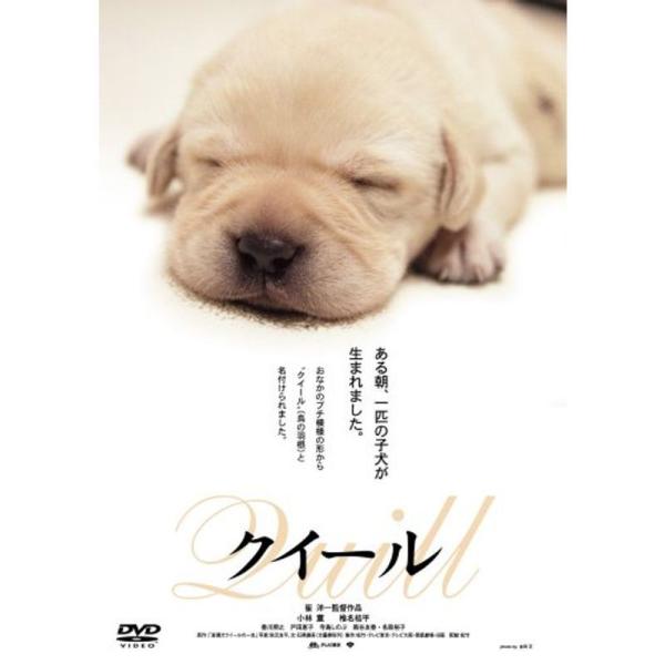 クイール DVD: 商品のタイトル【中古品】(中古品)＝使用済み中古品です。画像の商品はサンプル画像です。実際に届く商品と異なりますのでご了承下さいませ。※中古品のため、商品のコンディション、ケース、説明書等の付属品の有無については入荷の度...