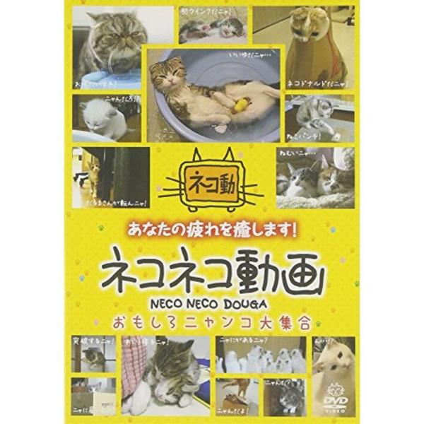 ネコネコ動画 ~おもしろニャンコ大集合~ DVD: 商品のタイトル【中古品】(中古品)＝使用済み中古品です。画像の商品はサンプル画像です。実際に届く商品と異なりますのでご了承下さいませ。※中古品のため、商品のコンディション、ケース、説明書等...