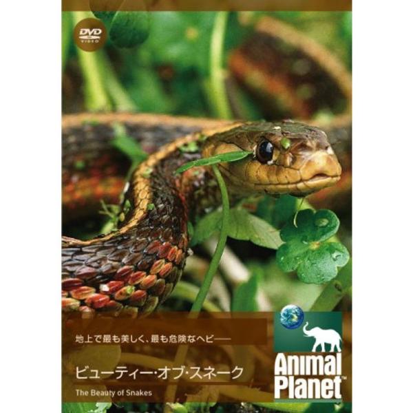 アニマルプラネット ビューティー・オブ・スネーク DVD: 商品のタイトル【中古品】(中古品)＝使用済み中古品です。画像の商品はサンプル画像です。実際に届く商品と異なりますのでご了承下さいませ。※中古品のため、商品のコンディション、ケース、...