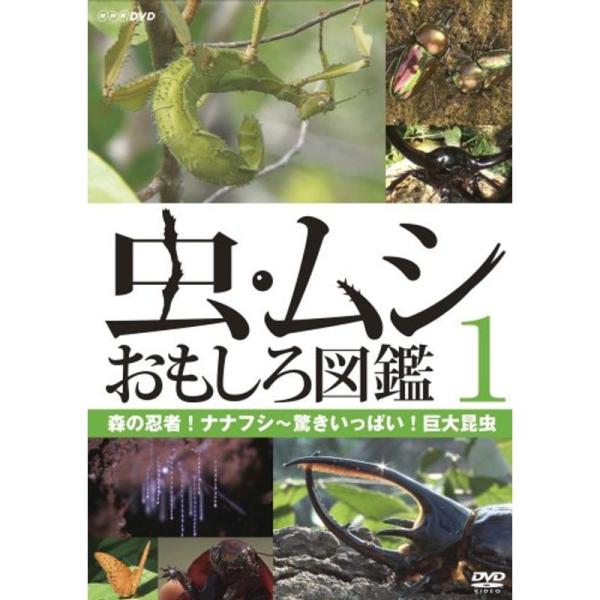 虫・ムシ おもしろ図鑑 1 森の忍者ナナフシ~驚きいっぱい巨大昆虫 DVD: 商品のタイトル【中古品】(中古品)＝使用済み中古品です。画像の商品はサンプル画像です。実際に届く商品と異なりますのでご了承下さいませ。※中古品のため、商品のコンデ...