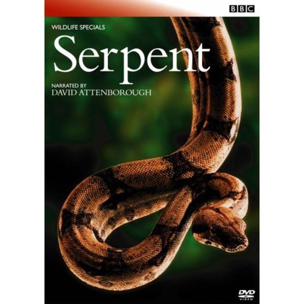BBCワイルドライフ・スペシャル ヘビ 静かなる暗殺者 DVD: 商品のタイトル【中古品】(中古品)＝使用済み中古品です。画像の商品はサンプル画像です。実際に届く商品と異なりますのでご了承下さいませ。※中古品のため、商品のコンディション、ケ...
