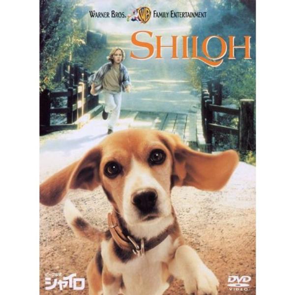 ビーグル犬 シャイロ 特別版 DVD: 商品のタイトル【中古品】(中古品)＝使用済み中古品です。画像の商品はサンプル画像です。実際に届く商品と異なりますのでご了承下さいませ。※中古品のため、商品のコンディション、ケース、説明書等の付属品の有...