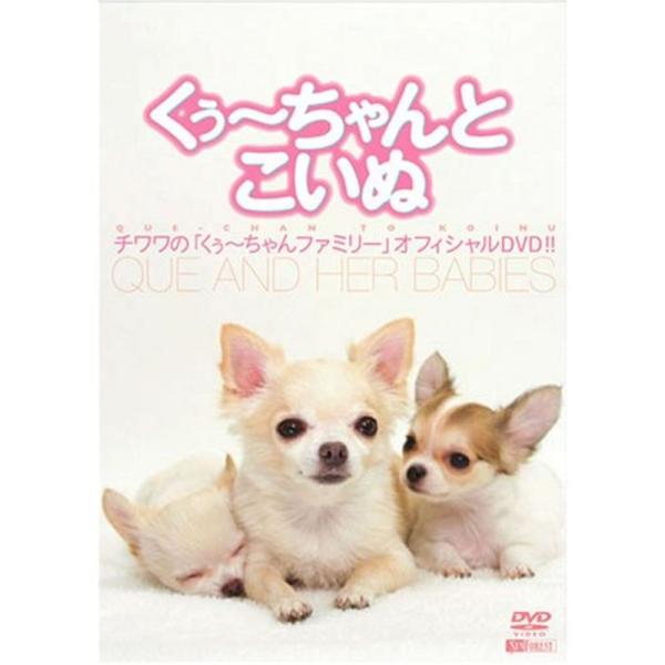 シンフォレストDVD くぅ~ちゃんとこいぬ チワワの「くぅ~ちゃんファミリー」オフィシャルDVD: 商品のタイトル【中古品】(中古品)＝使用済み中古品です。画像の商品はサンプル画像です。実際に届く商品と異なりますのでご了承下さいませ。※中古...
