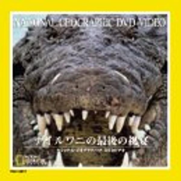 ナイルワニの最後の祝宴 DVD: 商品のタイトル【中古品】(中古品)＝使用済み中古品です。画像の商品はサンプル画像です。実際に届く商品と異なりますのでご了承下さいませ。※中古品のため、商品のコンディション、ケース、説明書等の付属品の有無につ...