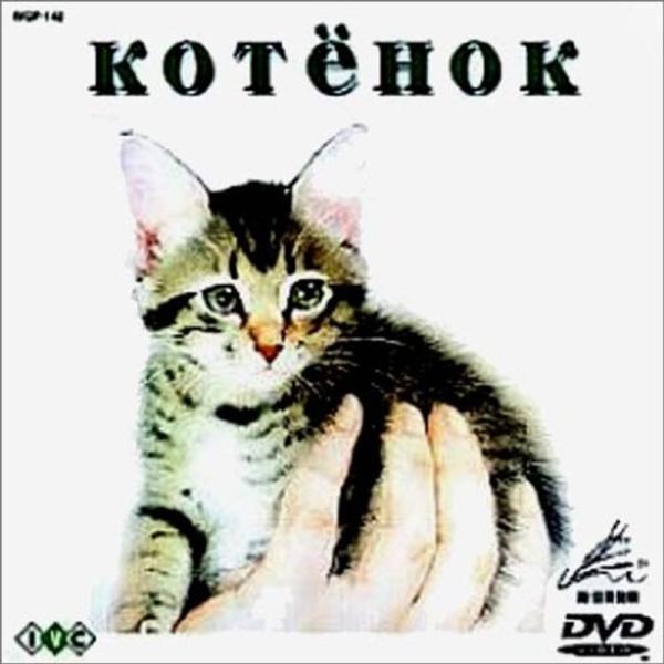 こねこ?旅するチグラーシャ? DVD: 商品のタイトル【中古品】(中古品)＝使用済み中古品です。画像の商品はサンプル画像です。実際に届く商品と異なりますのでご了承下さいませ。※中古品のため、商品のコンディション、ケース、説明書等の付属品の有...