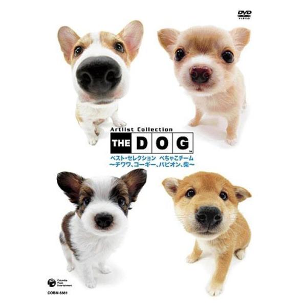 THE DOG ベスト・セレクション きらっこチーム ~チワワ、コーギー、パピオン、柴~ DVD: 商品のタイトル【中古品】(中古品)＝使用済み中古品です。画像の商品はサンプル画像です。実際に届く商品と異なりますのでご了承下さいませ。※中古...