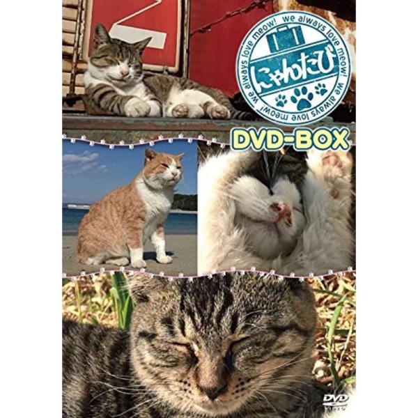 にゃんたび DVD-BOX: 商品のタイトル【中古品】(中古品)＝使用済み中古品です。画像の商品はサンプル画像です。実際に届く商品と異なりますのでご了承下さいませ。※中古品のため、商品のコンディション、ケース、説明書等の付属品の有無について...