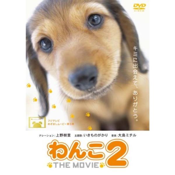 わんこ THE MOVIE 2 DVD: 商品のタイトル【中古品】(中古品)＝使用済み中古品です。画像の商品はサンプル画像です。実際に届く商品と異なりますのでご了承下さいませ。※中古品のため、商品のコンディション、ケース、説明書等の付属品の...