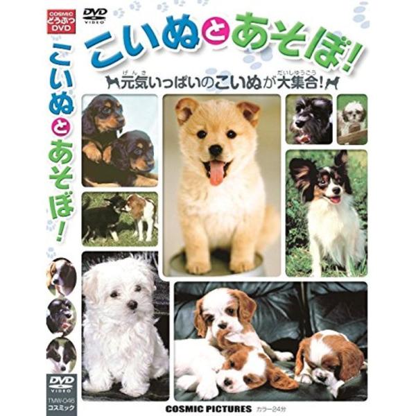 こいぬとあそぼ ヨークシャー・テリア TMW-046 DVD: 商品のタイトル【中古品】(中古品)＝使用済み中古品です。画像の商品はサンプル画像です。実際に届く商品と異なりますのでご了承下さいませ。※中古品のため、商品のコンディション、ケー...