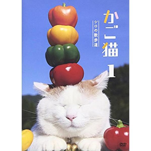 かご猫1 シロの散歩道 DVD: 商品のタイトル【中古品】(中古品)＝使用済み中古品です。画像の商品はサンプル画像です。実際に届く商品と異なりますのでご了承下さいませ。※中古品のため、商品のコンディション、ケース、説明書等の付属品の有無につ...