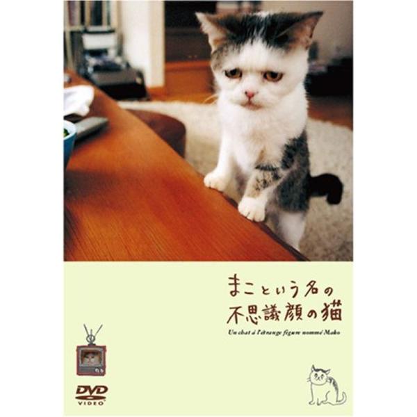 まこという名の不思議顔の猫(DVD): 商品のタイトル【中古品】(中古品)＝使用済み中古品です。画像の商品はサンプル画像です。実際に届く商品と異なりますのでご了承下さいませ。※中古品のため、商品のコンディション、ケース、説明書等の付属品の有...