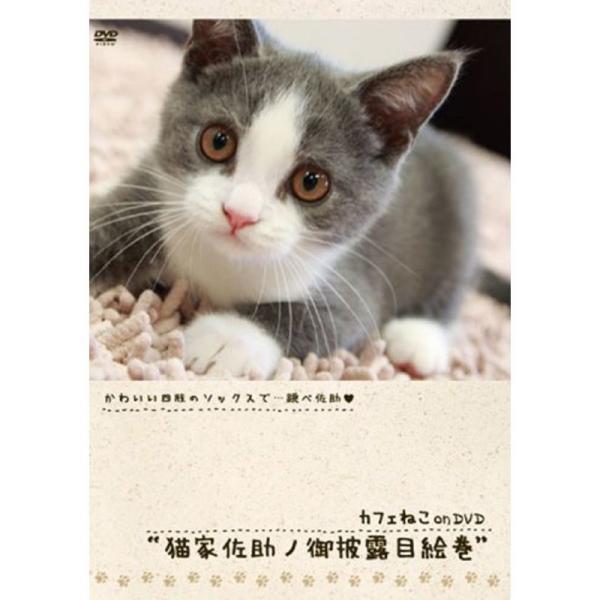カフェねこonDVD 猫家佐助ノ御披露目絵巻: 商品のタイトル【中古品】(中古品)＝使用済み中古品です。画像の商品はサンプル画像です。実際に届く商品と異なりますのでご了承下さいませ。※中古品のため、商品のコンディション、ケース、説明書等の付...