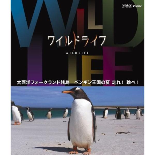 ワイルドライフ 大西洋 フォークランド諸島 ペンギン王国の夏 走れ 跳べ Blu-ray: 商品のタイトル【中古品】(中古品)＝使用済み中古品です。画像の商品はサンプル画像です。実際に届く商品と異なりますのでご了承下さいませ。※中古品のため...