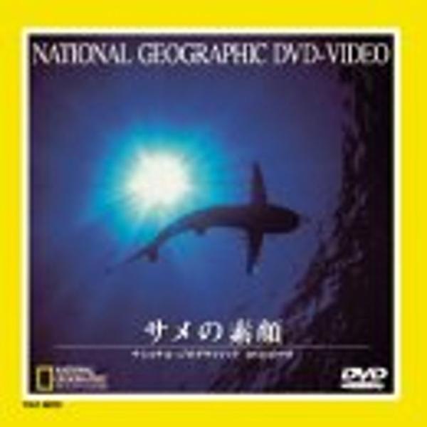 サメの素顔 DVD: 商品のタイトル【中古品】(中古品)＝使用済み中古品です。画像の商品はサンプル画像です。実際に届く商品と異なりますのでご了承下さいませ。※中古品のため、商品のコンディション、ケース、説明書等の付属品の有無については入荷の...