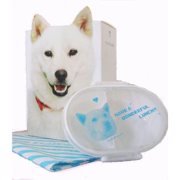 カイくん日和 ~秋のおでかけランチボックスセット入り 完全限定版 DVD: 商品のタイトル【中古品】(中古品)＝使用済み中古品です。画像の商品はサンプル画像です。実際に届く商品と異なりますのでご了承下さいませ。※中古品のため、商品のコンディ...