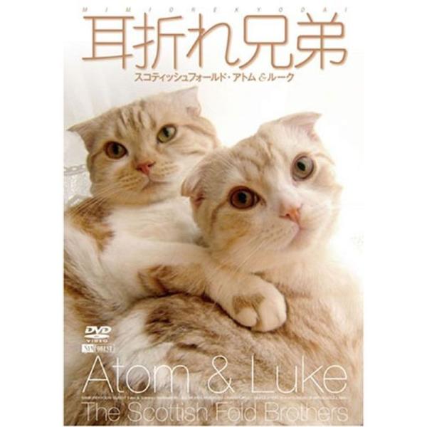 シンフォレストDVD 耳折れ兄弟 スコティッシュフォールド・アトム&amp;ルーク: 商品のタイトル【中古品】(中古品)＝使用済み中古品です。画像の商品はサンプル画像です。実際に届く商品と異なりますのでご了承下さいませ。※中古品のため、商品...