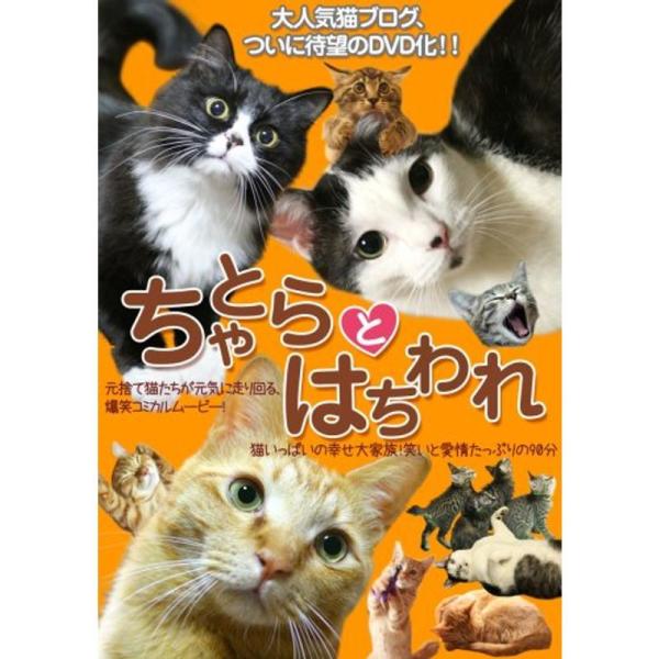 ちゃとらとはちわれ DVD: 商品のタイトル【中古品】(中古品)＝使用済み中古品です。画像の商品はサンプル画像です。実際に届く商品と異なりますのでご了承下さいませ。※中古品のため、商品のコンディション、ケース、説明書等の付属品の有無について...