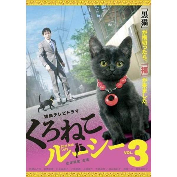 くろねこルーシー 3(第9話?第12話 最終) レンタル落ち: 商品のタイトル【中古品】(中古品)＝使用済み中古品です。画像の商品はサンプル画像です。実際に届く商品と異なりますのでご了承下さいませ。※中古品のため、商品のコンディション、ケー...