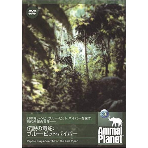 アニマル・プラネット 伝説の毒蛇 ブルー・ピット・バイパー レンタル落ち: 商品のタイトル【中古品】(中古品)＝使用済み中古品です。画像の商品はサンプル画像です。実際に届く商品と異なりますのでご了承下さいませ。※中古品のため、商品のコンディ...