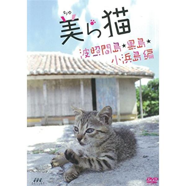 美ら猫(ちゅら猫)竹富島編 DVD: 商品のタイトル【中古品】(中古品)＝使用済み中古品です。画像の商品はサンプル画像です。実際に届く商品と異なりますのでご了承下さいませ。※中古品のため、商品のコンディション、ケース、説明書等の付属品の有無...