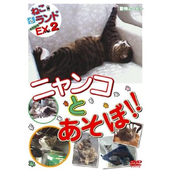 ねこ(猫)ざランド エクストラ(EX) vol.2 ニャンコとあそぼ DVD: 商品のタイトル【中古品】(中古品)＝使用済み中古品です。画像の商品はサンプル画像です。実際に届く商品と異なりますのでご了承下さいませ。※中古品のため、商品のコン...