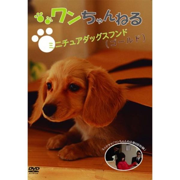 ワンちゃんねる ミニチュアダックスフンド(ゴールド) DVD: 商品のタイトル【中古品】(中古品)＝使用済み中古品です。画像の商品はサンプル画像です。実際に届く商品と異なりますのでご了承下さいませ。※中古品のため、商品のコンディション、ケー...